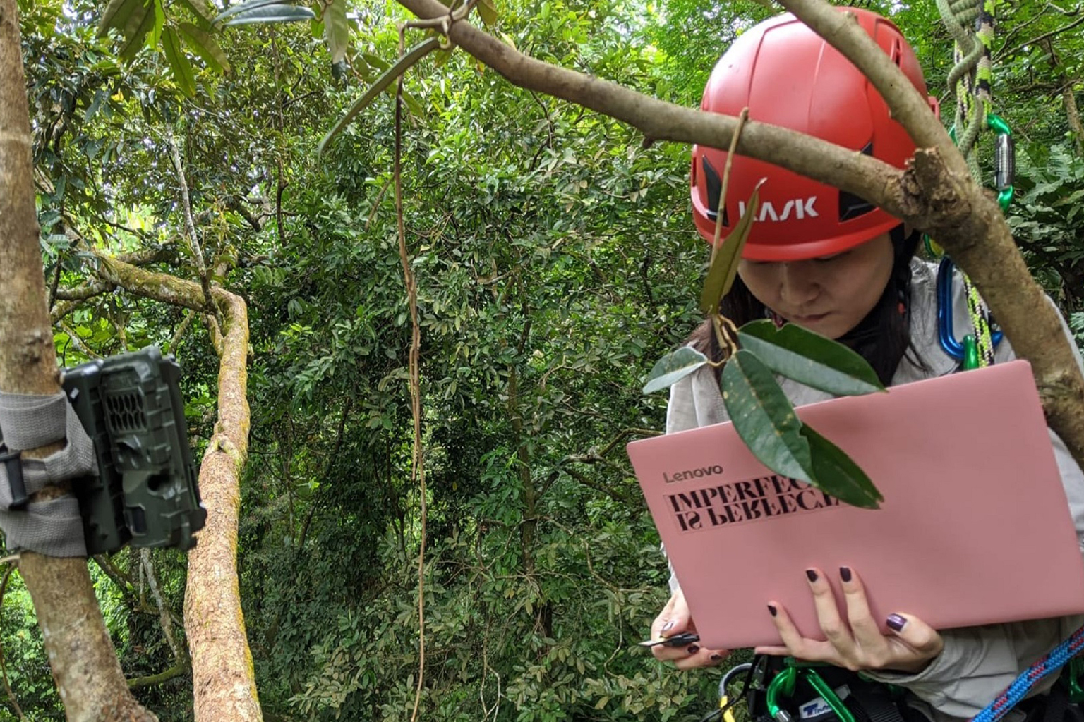 How her work in saving monkeys is protecting a part of Singapore’s heritage | The Straits Times